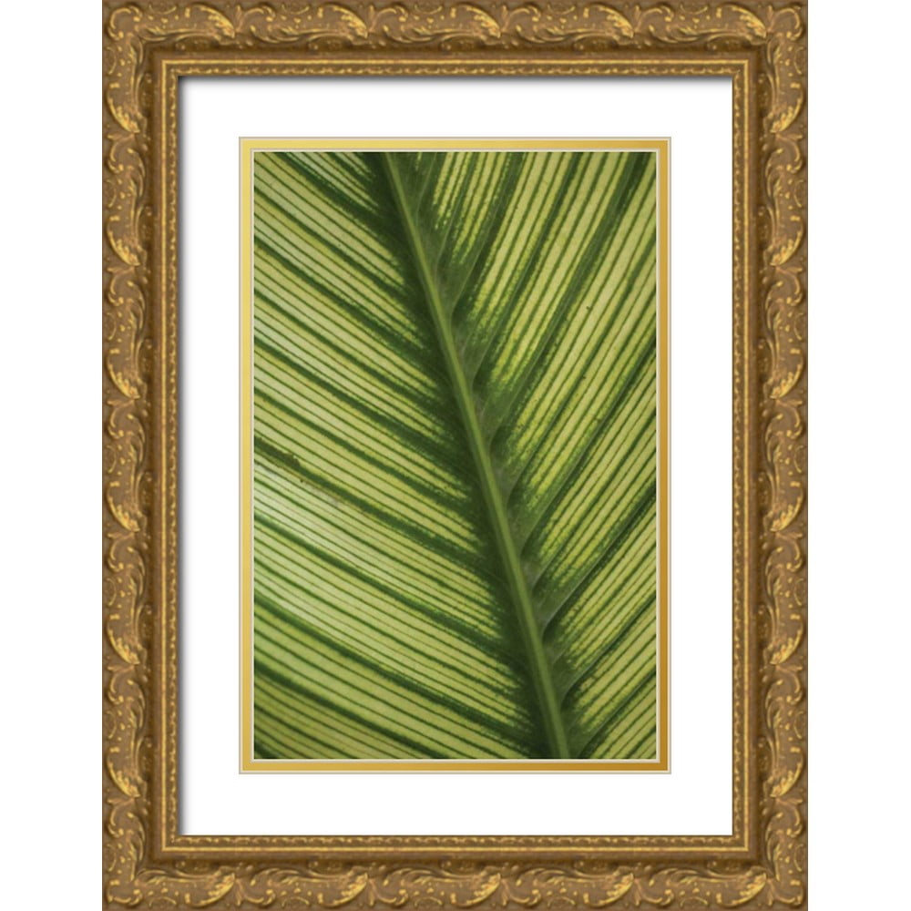 Berzel, Erin 11x14 Gold Ornate Wood Framed with Double Matting Museum ...