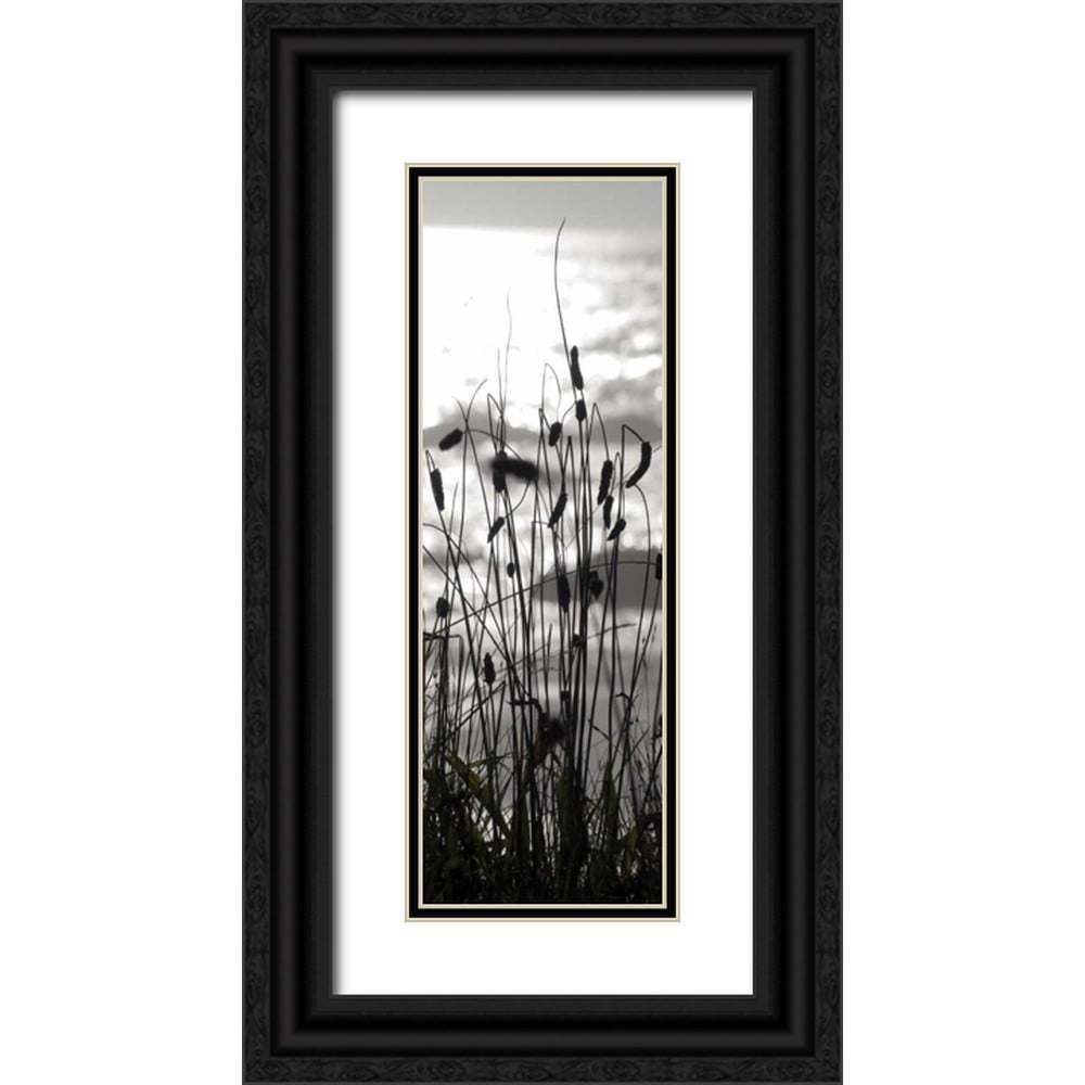 Berzel, Erin 11x24 Black Ornate Wood Framed with Double Matting Museum Art Print Titled ...