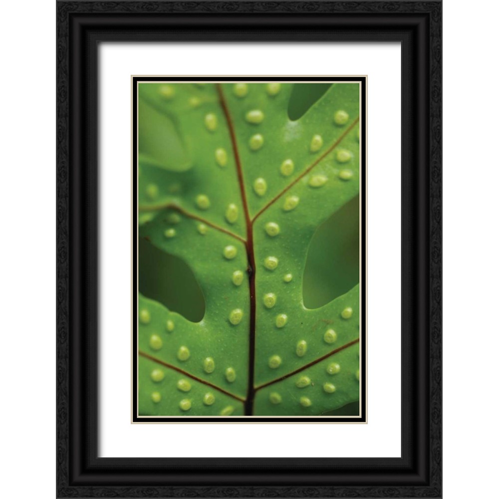 Berzel, Erin 13x18 Black Ornate Wood Framed with Double Matting Museum ...
