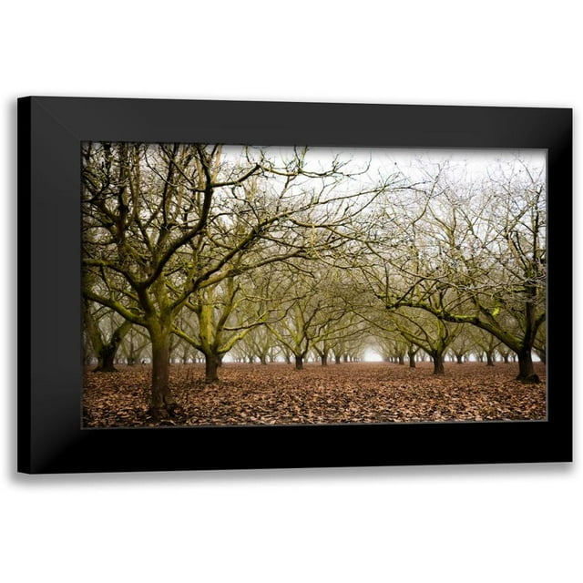 Berzel, Erin 14x11 Black Modern Framed Museum Art Print Titled - Hazel ...