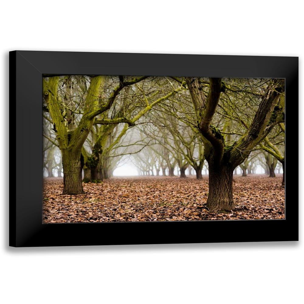 Berzel, Erin 14x11 Black Modern Framed Museum Art Print Titled - Hazel ...