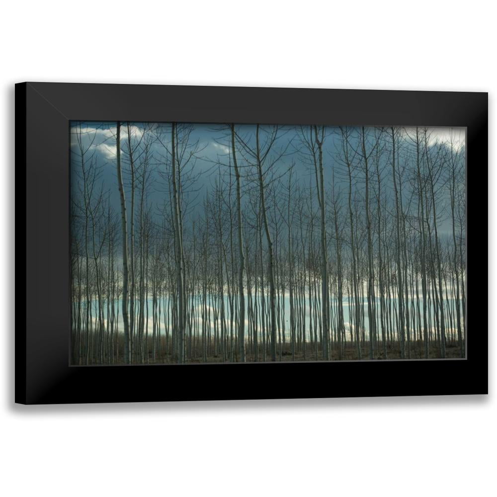 Berzel, Erin 14x11 Black Modern Framed Museum Art Print Titled ...