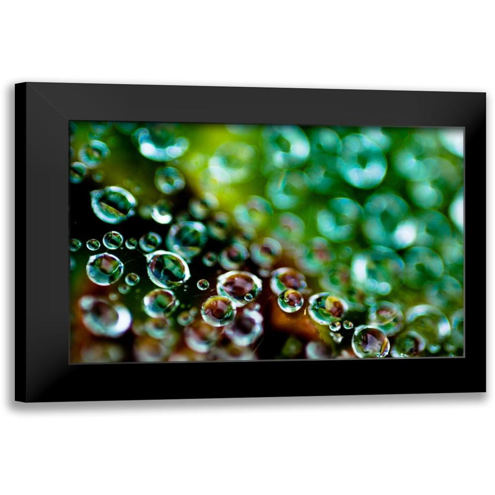 Berzel, Erin 14x11 Black Modern Framed Museum Art Print Titled - Spider ...