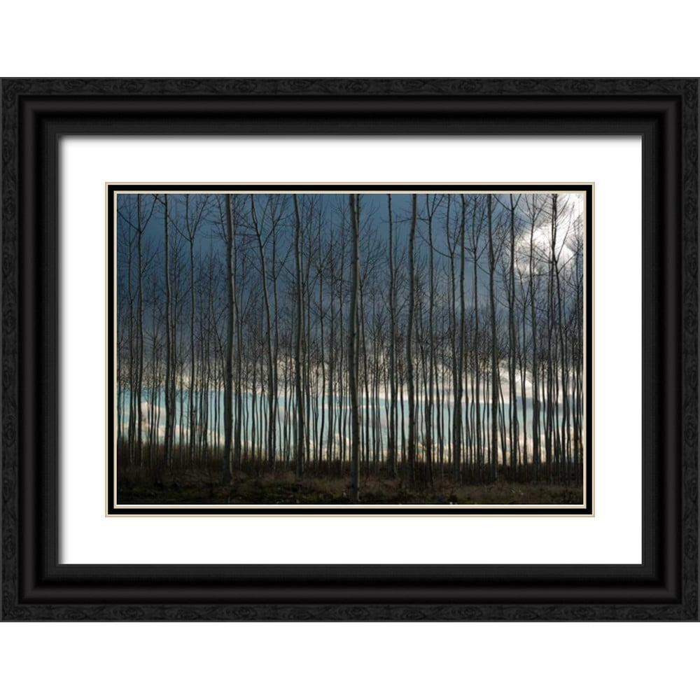 Berzel, Erin 14x11 Black Ornate Wood Framed with Double Matting Museum ...