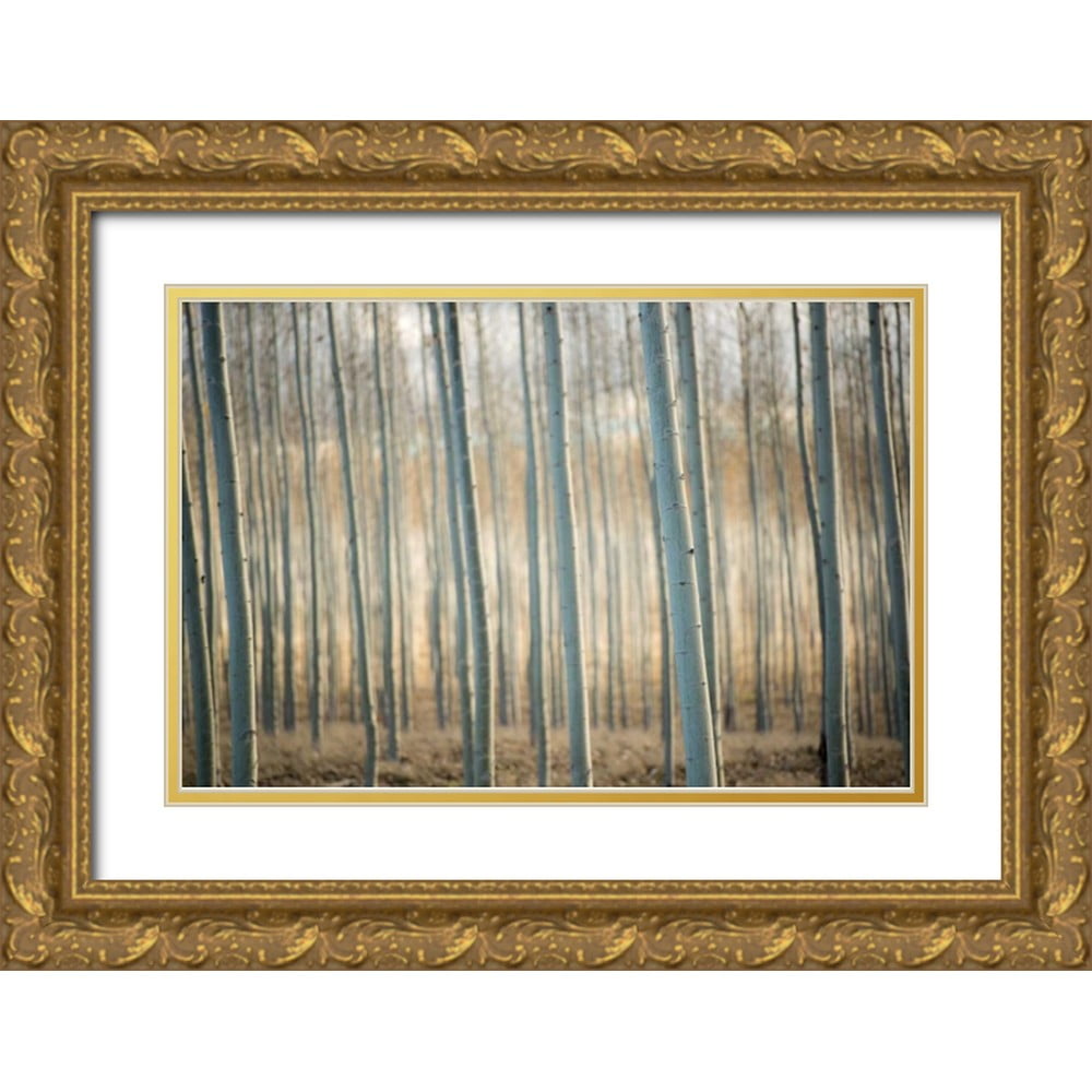 Berzel, Erin 14x11 Gold Ornate Wood Framed with Double Matting Museum ...