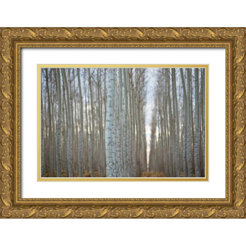 Berzel, Erin 14x11 Gold Ornate Wood Framed with Double Matting Museum ...