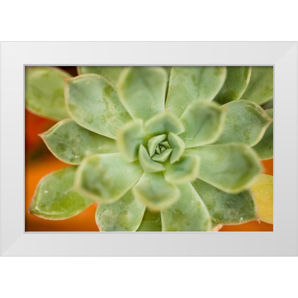 Berzel, Erin 14x11 White Modern Wood Framed Museum Art Print Titled ...