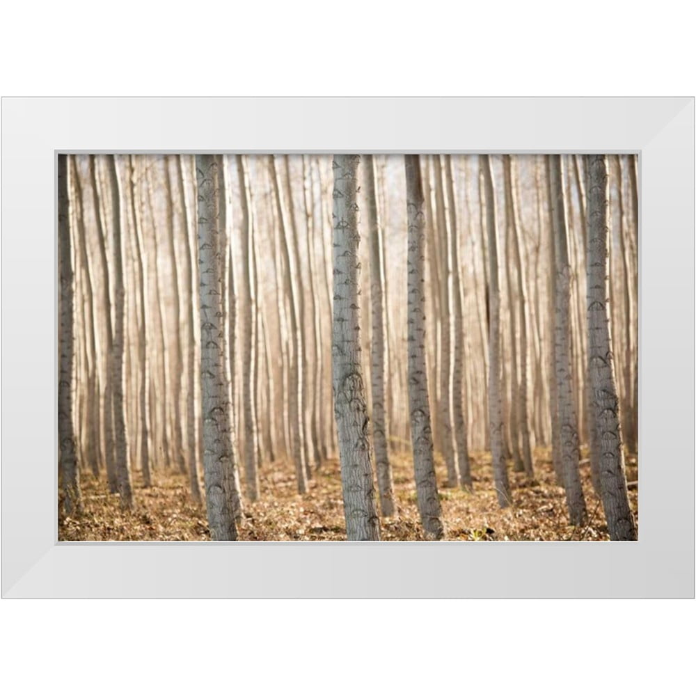 Berzel, Erin 14x11 White Modern Wood Framed Museum Art Print Titled ...