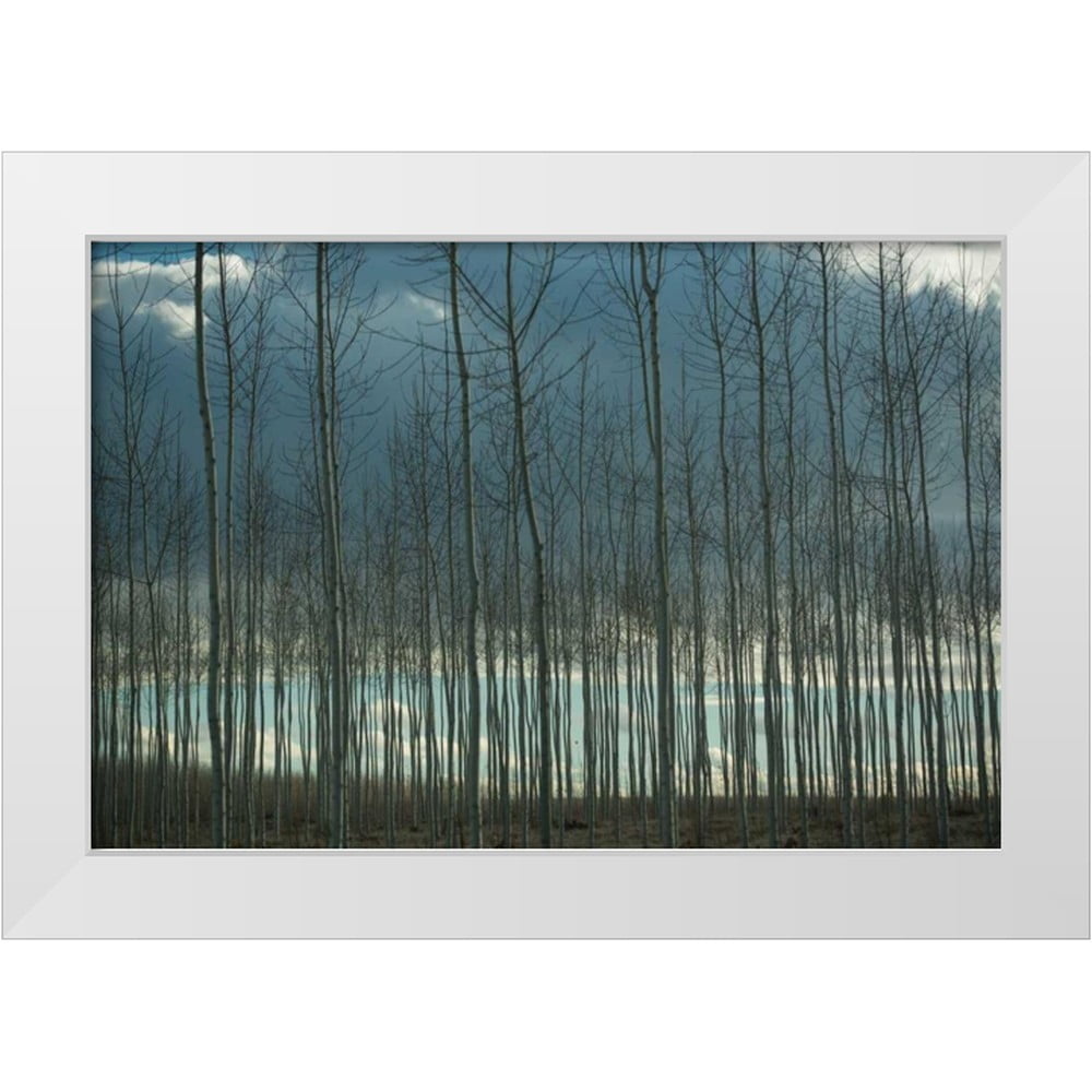 Berzel, Erin 14x11 White Modern Wood Framed Museum Art Print Titled ...