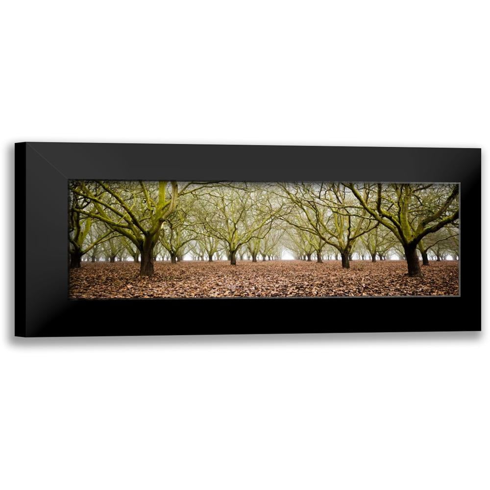 Berzel, Erin 14x7 Black Modern Framed Museum Art Print Titled - Hazel ...