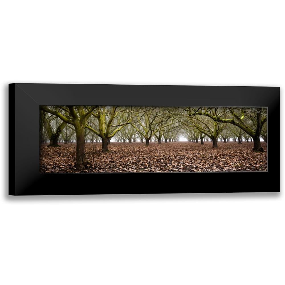 Berzel, Erin 14x7 Black Modern Framed Museum Art Print Titled - Hazel ...