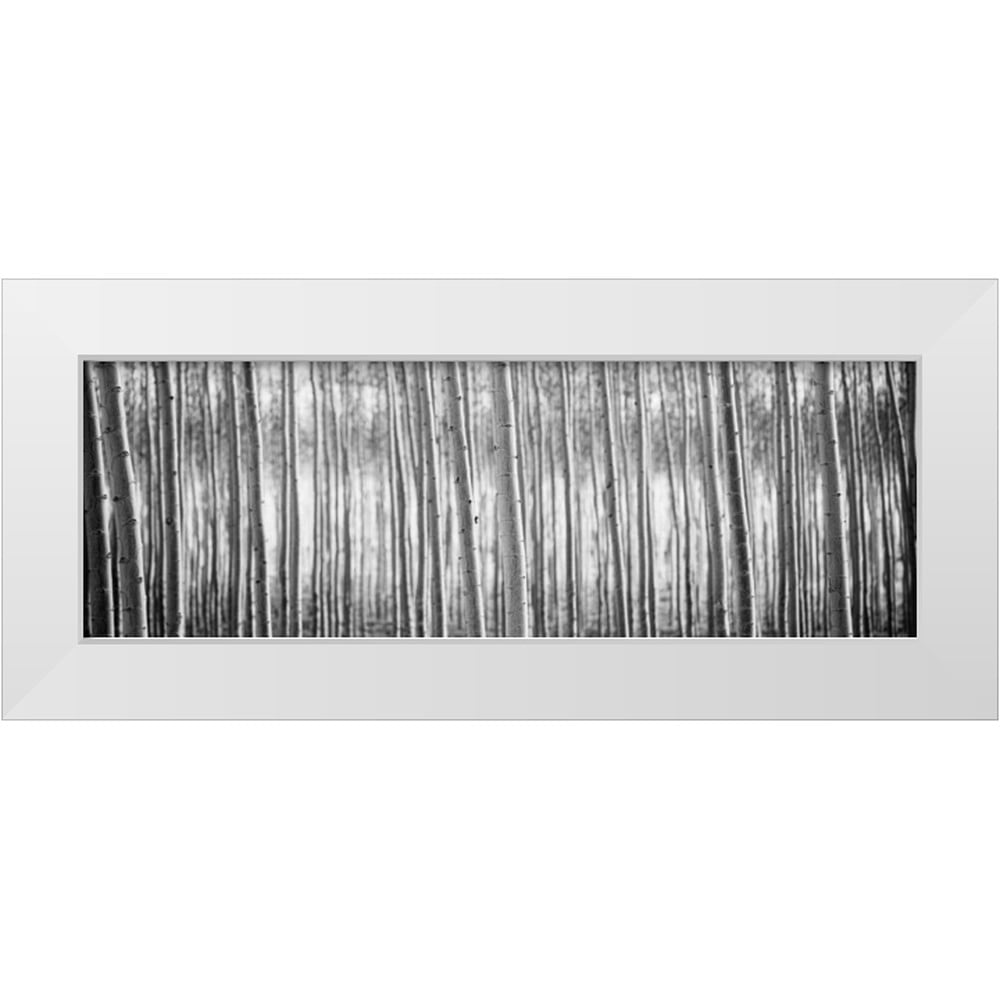 Berzel, Erin 14x7 White Modern Wood Framed Museum Art Print Titled ...