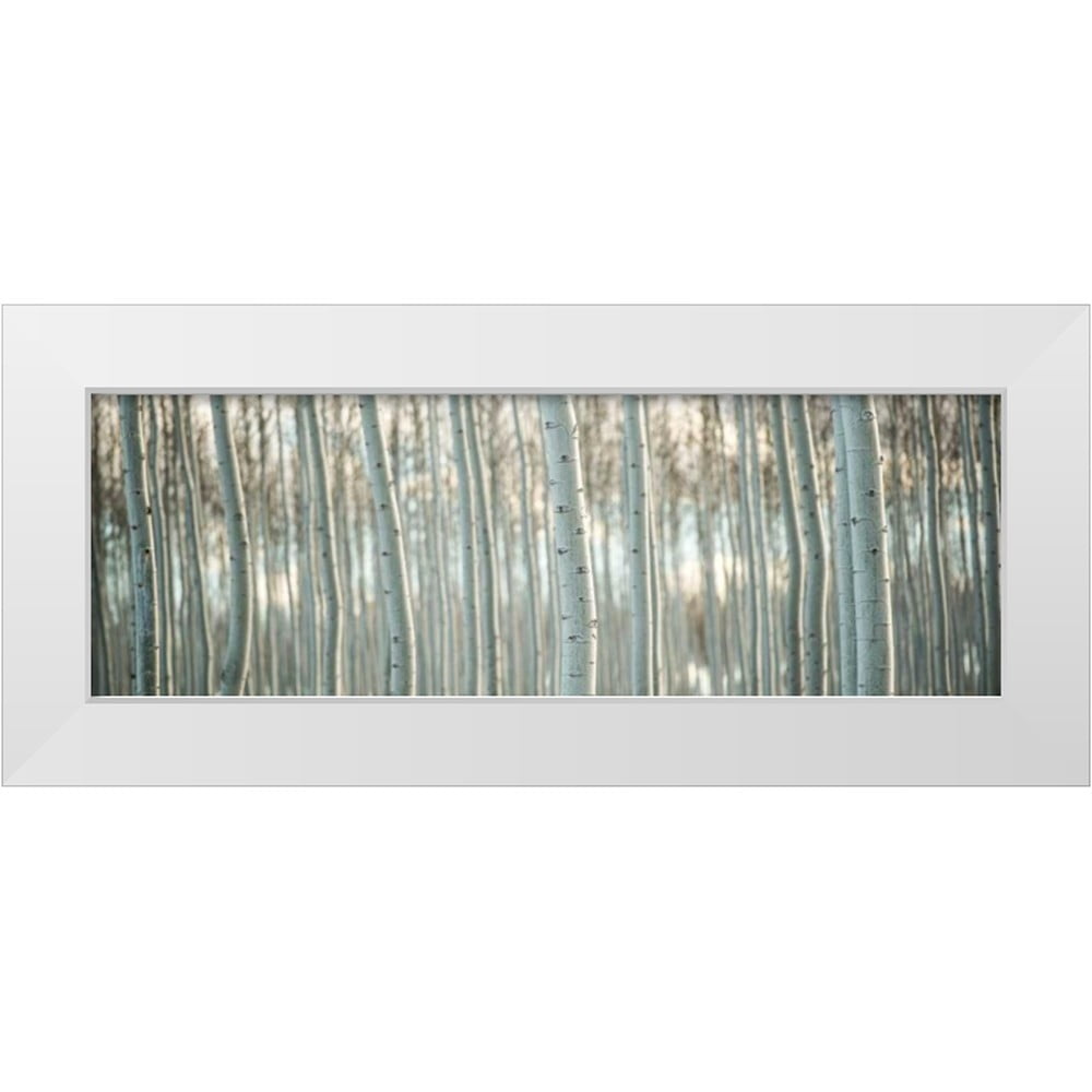 Berzel, Erin 14x7 White Modern Wood Framed Museum Art Print Titled ...