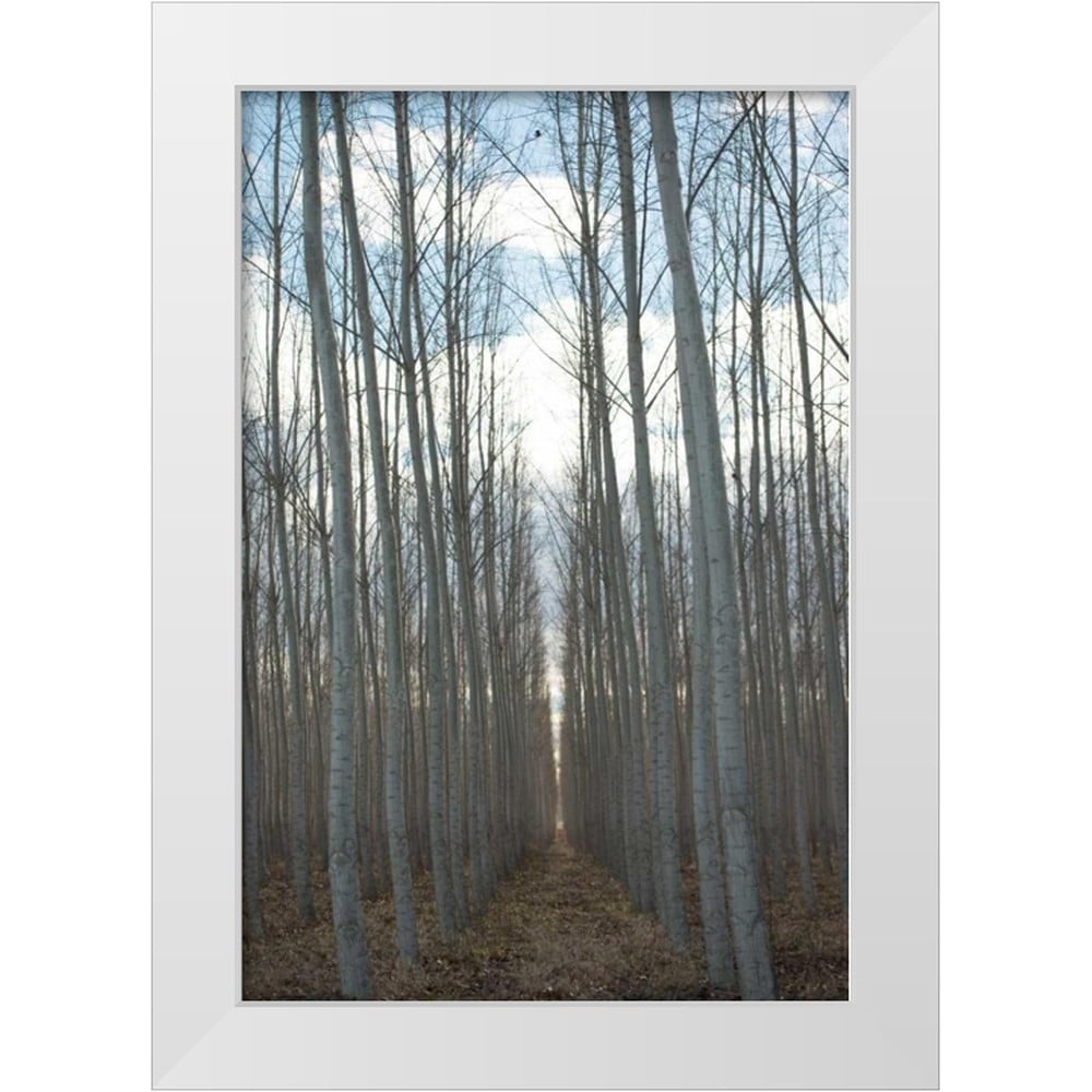 Berzel, Erin 17x24 White Modern Wood Framed Museum Art Print Titled ...