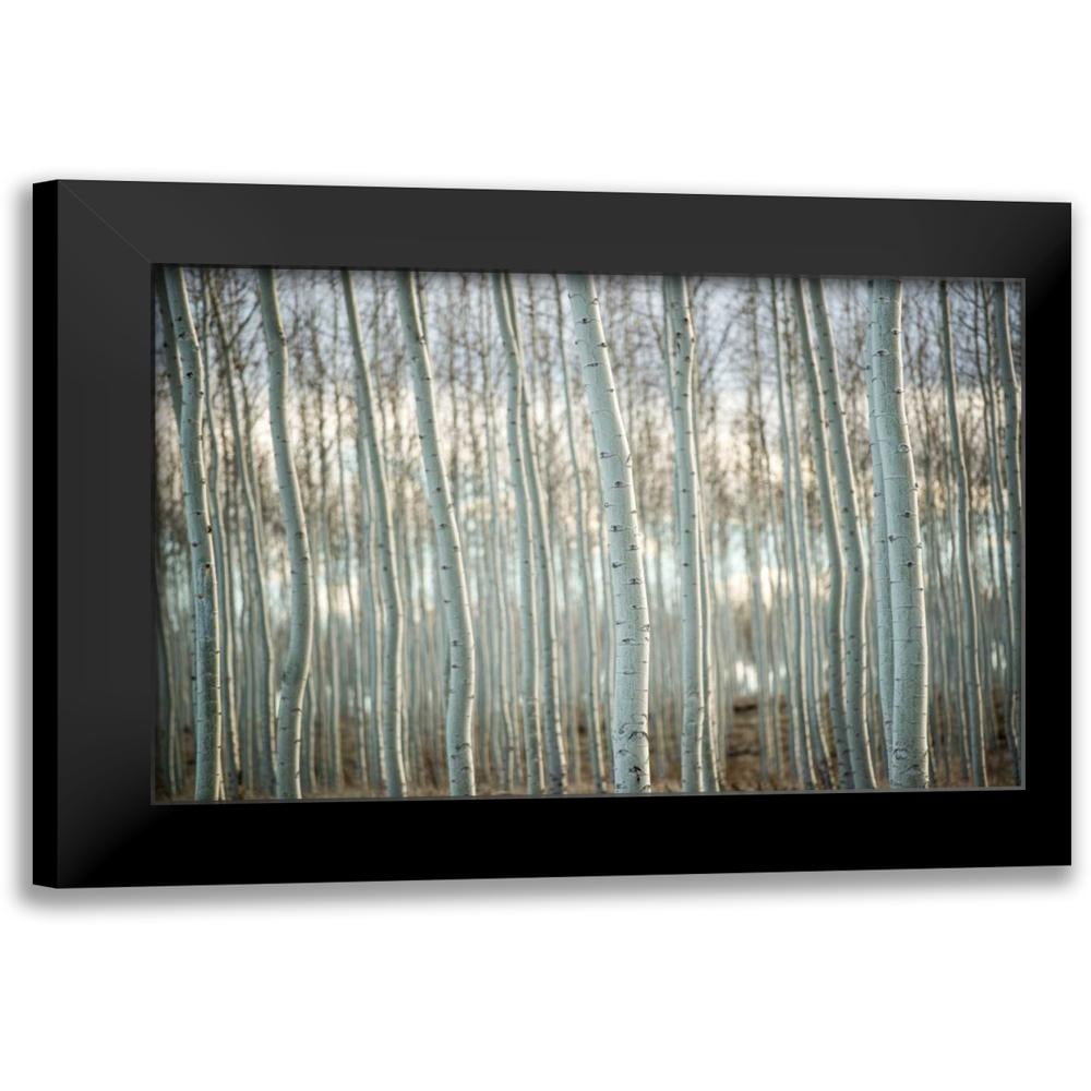 Berzel, Erin 18x13 Black Modern Framed Museum Art Print Titled ...