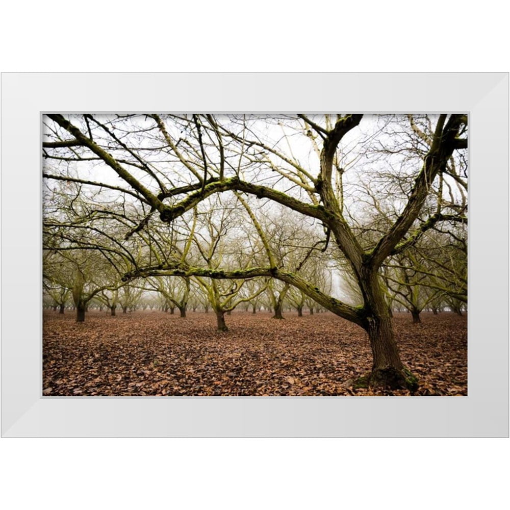 Berzel, Erin 18x13 White Modern Wood Framed Museum Art Print Titled ...