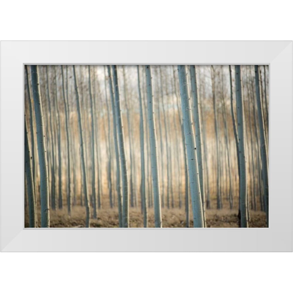 Berzel, Erin 18x13 White Modern Wood Framed Museum Art Print Titled ...