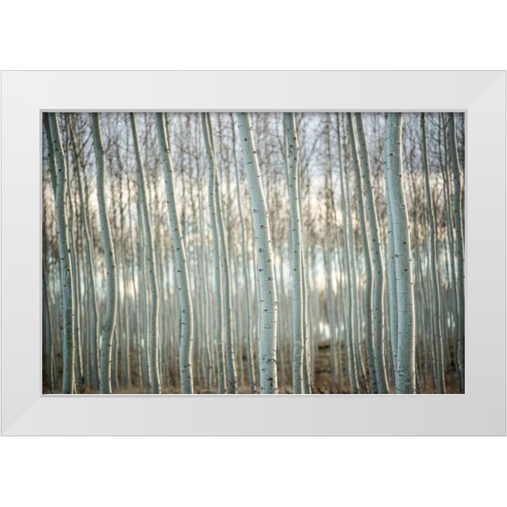 Berzel, Erin 18x13 White Modern Wood Framed Museum Art Print Titled ...