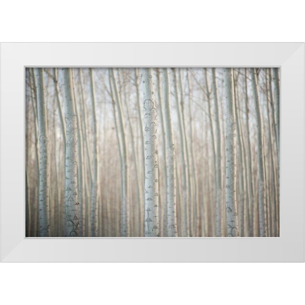 Berzel, Erin 18x13 White Modern Wood Framed Museum Art Print Titled ...