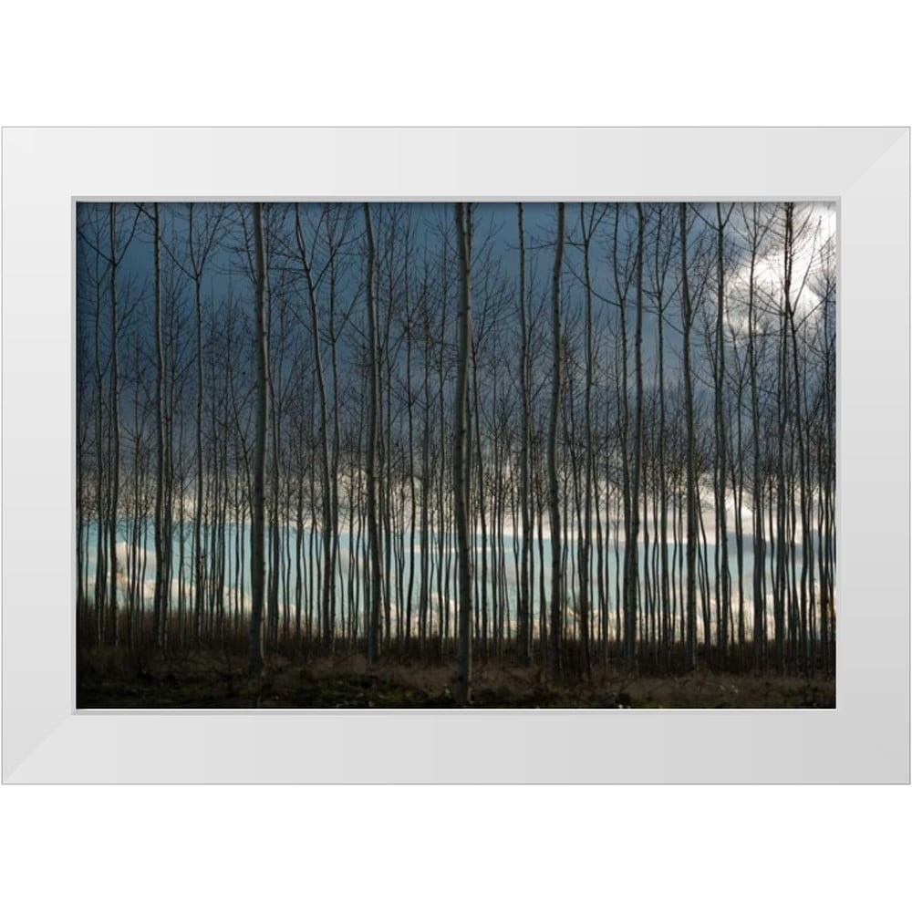 Berzel, Erin 18x13 White Modern Wood Framed Museum Art Print Titled ...