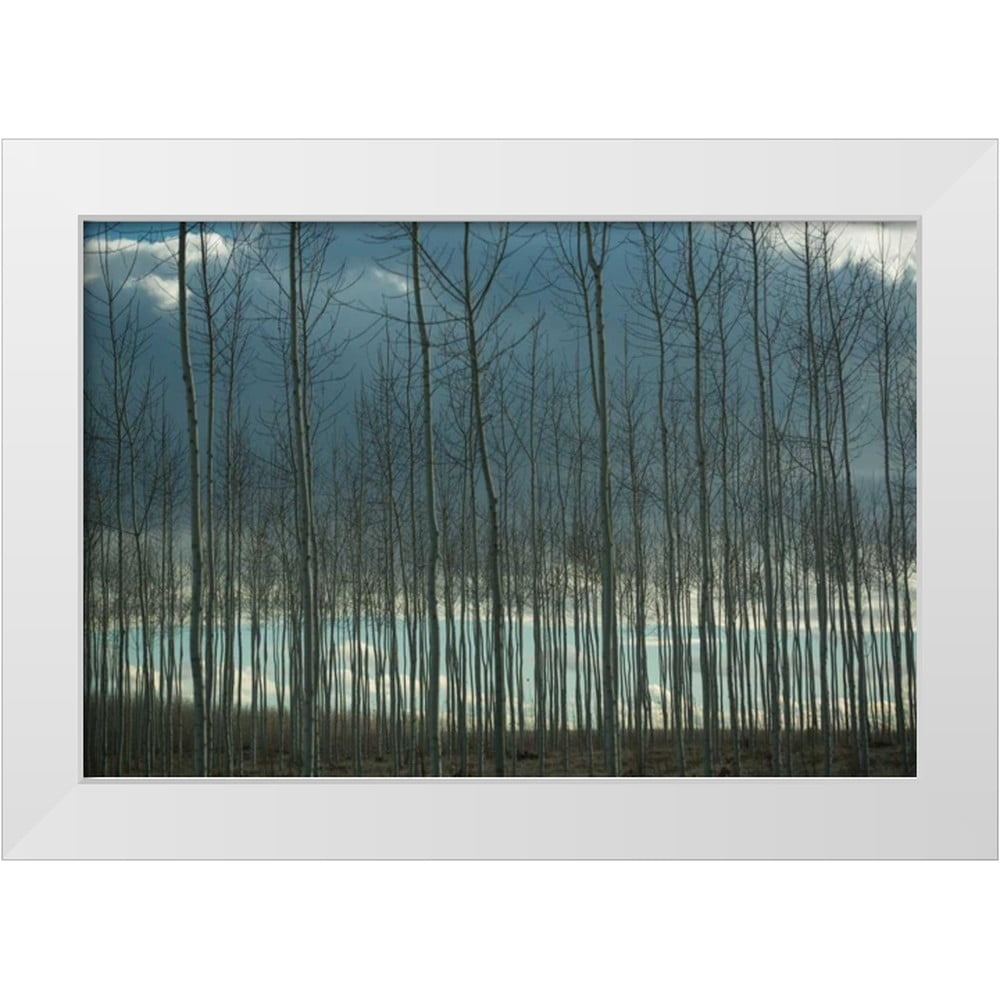 Berzel, Erin 18x13 White Modern Wood Framed Museum Art Print Titled ...