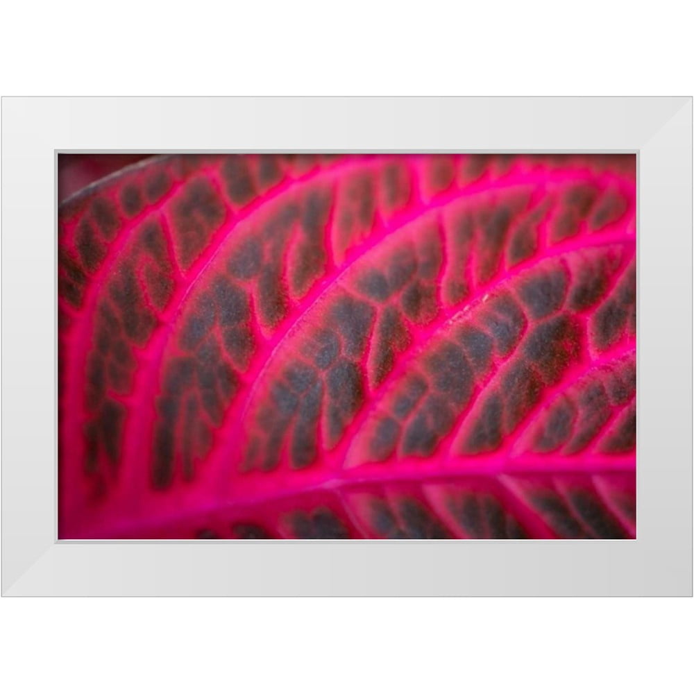 Berzel, Erin 18x13 White Modern Wood Framed Museum Art Print Titled ...