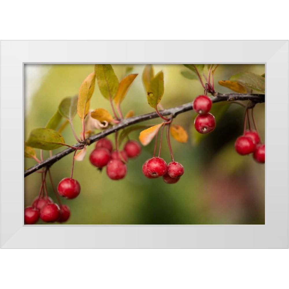 Berzel, Erin 18x13 White Modern Wood Framed Museum Art Print Titled ...