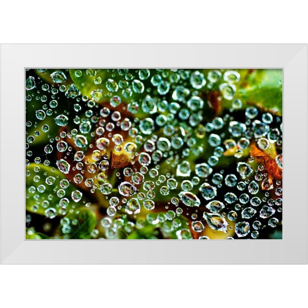 Berzel, Erin 18x13 White Modern Wood Framed Museum Art Print Titled ...