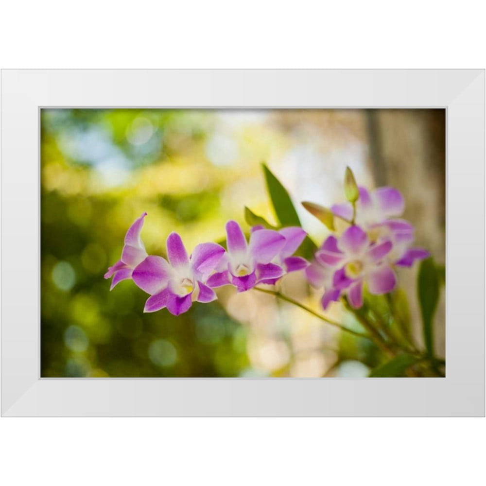 Berzel, Erin 18x13 White Modern Wood Framed Museum Art Print Titled ...