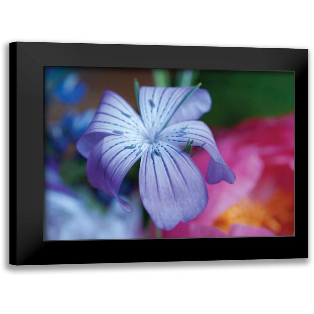 Berzel, Erin 18x15 Black Modern Framed Museum Art Print Titled ...