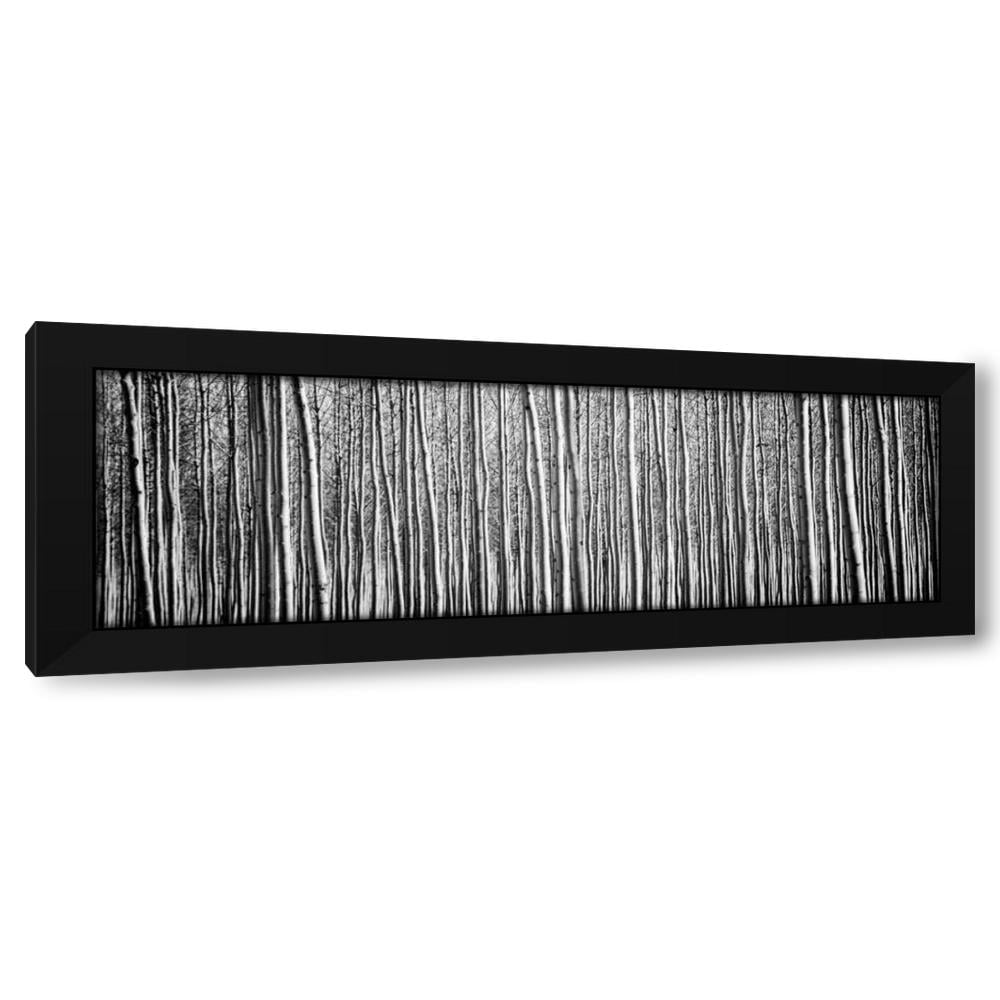 Erin Berzel 18x8 Black Modern Wood Framed Wall Art Titled - Pacific ...