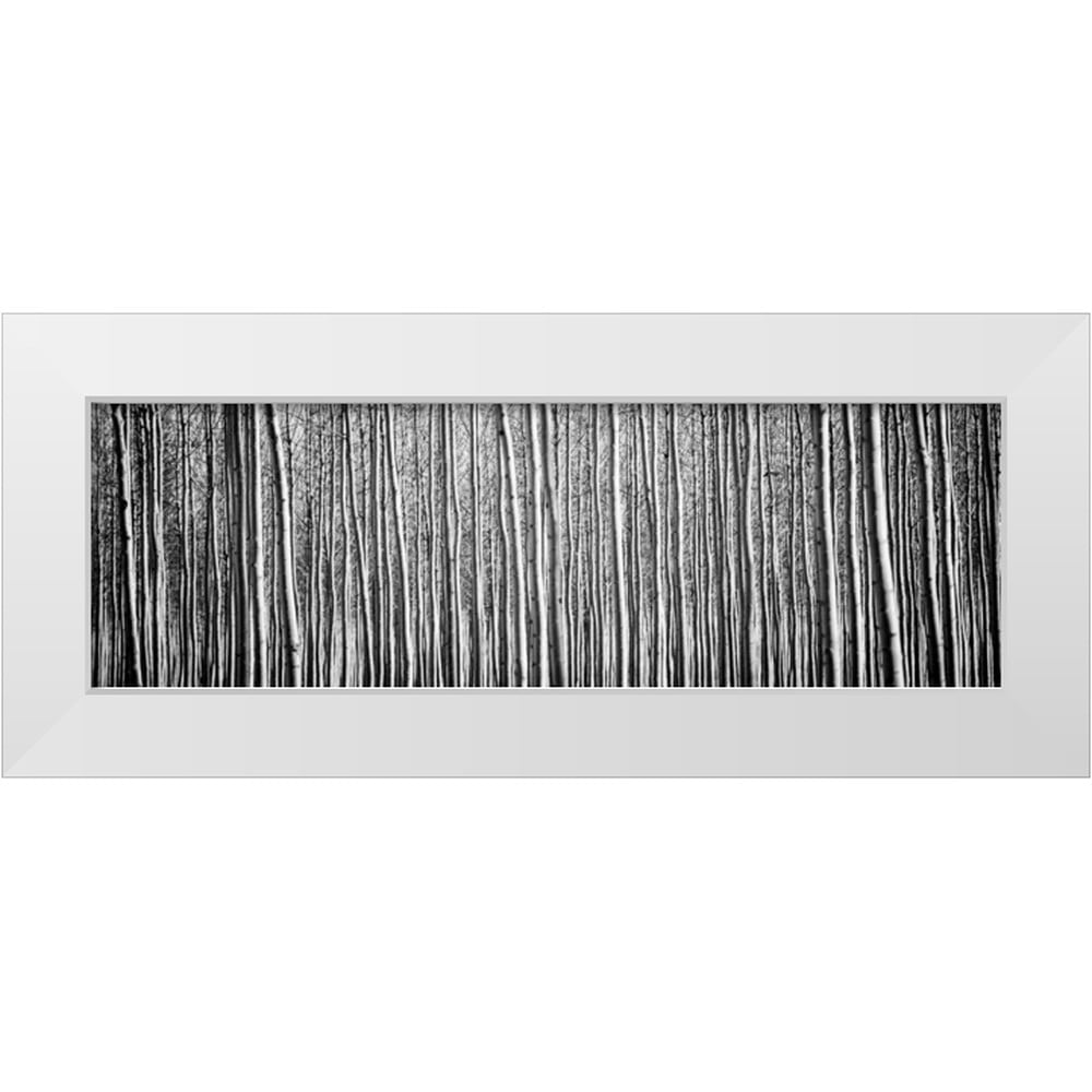 Berzel, Erin 18x8 White Modern Wood Framed Museum Art Print Titled ...