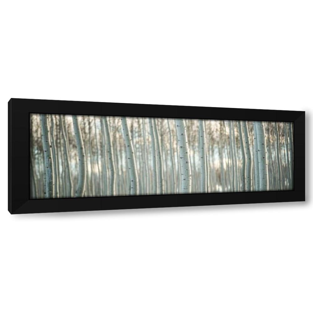 Erin Berzel 18x9 Black Modern Wood Framed Wall Art Titled - Pacific ...