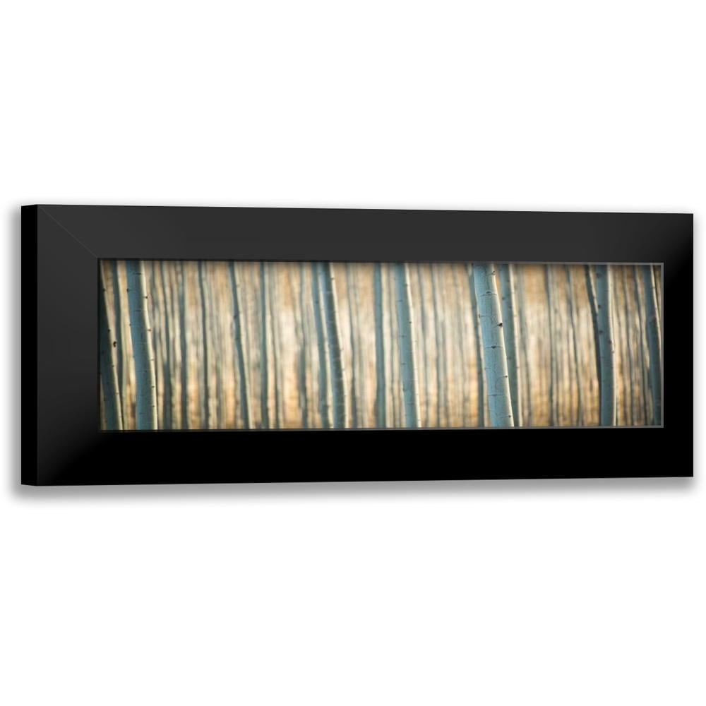 Berzel, Erin 18x9 Black Modern Framed Museum Art Print Titled - Pacific ...