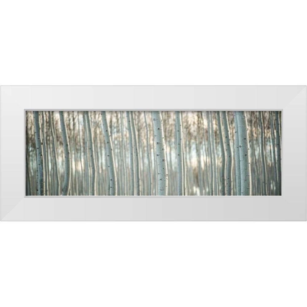 Berzel, Erin 18x9 White Modern Wood Framed Museum Art Print Titled ...