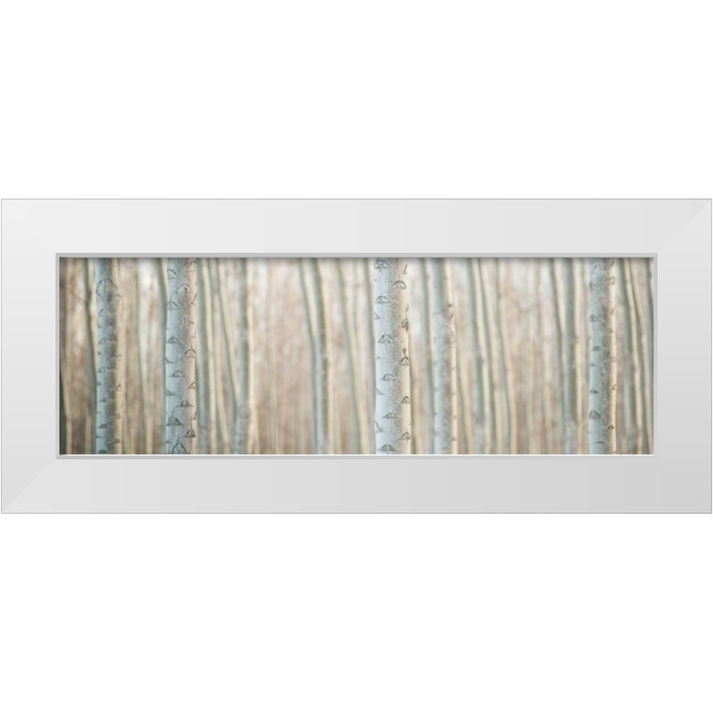 Berzel, Erin 18x9 White Modern Wood Framed Museum Art Print Titled ...