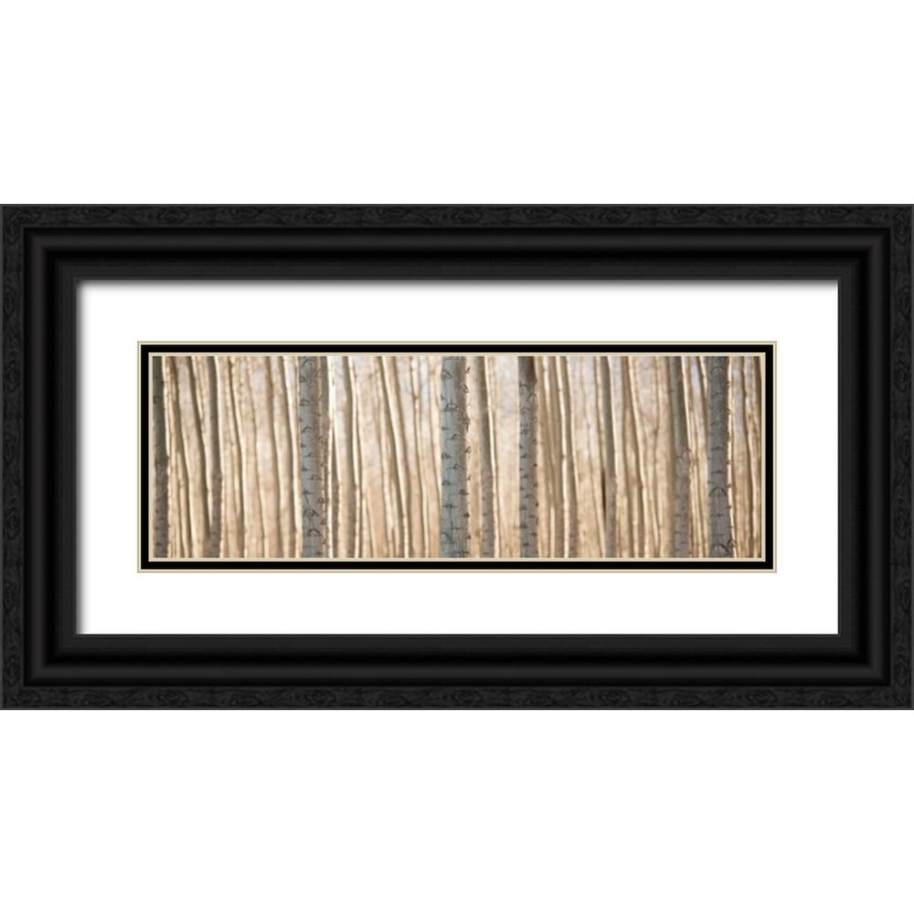 Berzel, Erin 24x11 Black Ornate Wood Framed with Double Matting Museum ...