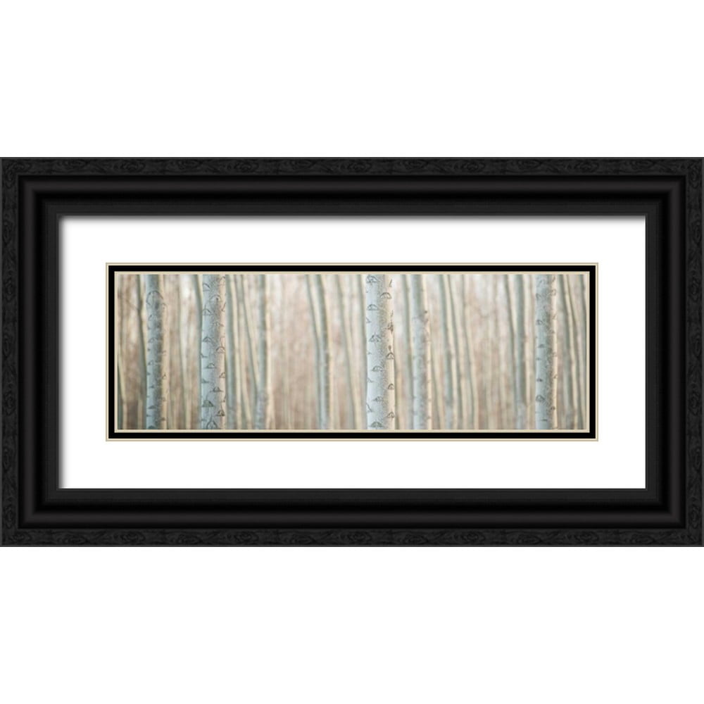 Berzel, Erin 24x11 Black Ornate Wood Framed with Double Matting Museum ...