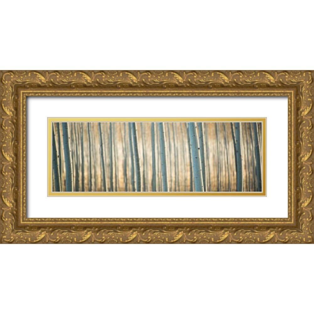 Berzel, Erin 24x11 Gold Ornate Wood Framed with Double Matting Museum ...