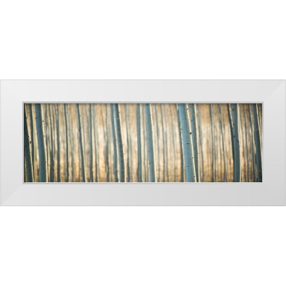 Berzel, Erin 24x11 White Modern Wood Framed Museum Art Print Titled ...