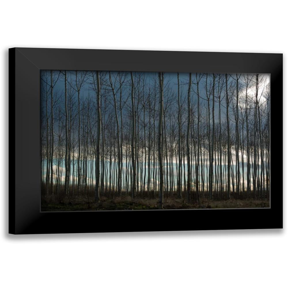 Berzel, Erin 24x17 Black Modern Framed Museum Art Print Titled ...