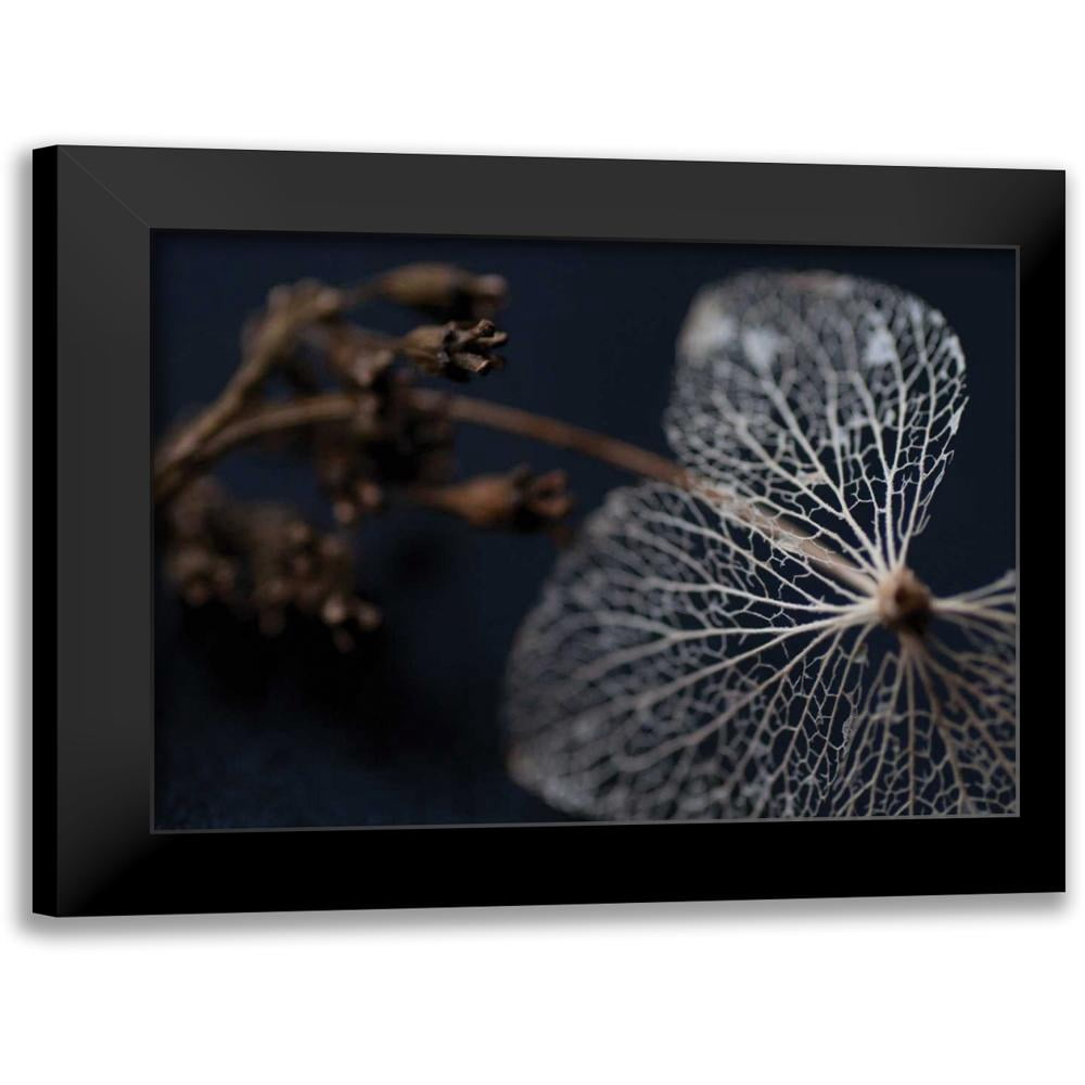 Berzel, Erin 24x19 Black Modern Framed Museum Art Print Titled ...