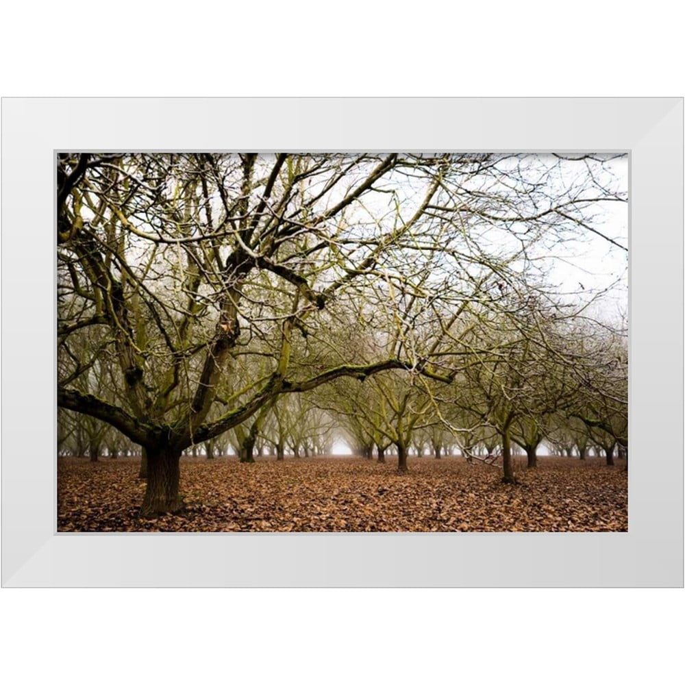 Berzel, Erin 32x23 White Modern Wood Framed Museum Art Print Titled ...