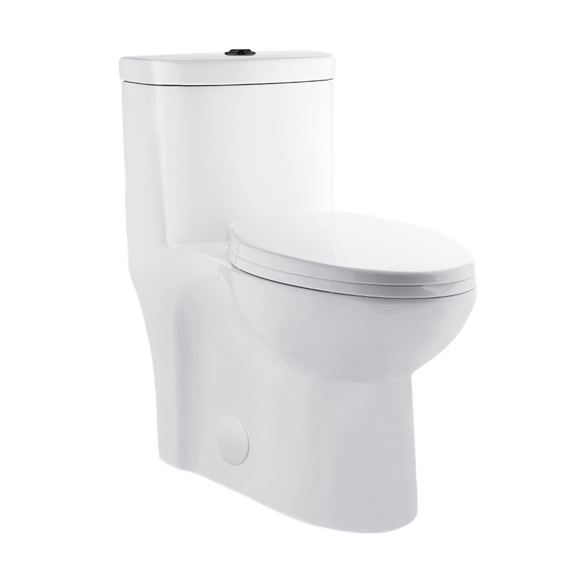 Besançon One Piece Elongated Toilet Dual Flush, Black Hardware 1.1/1.6 ...