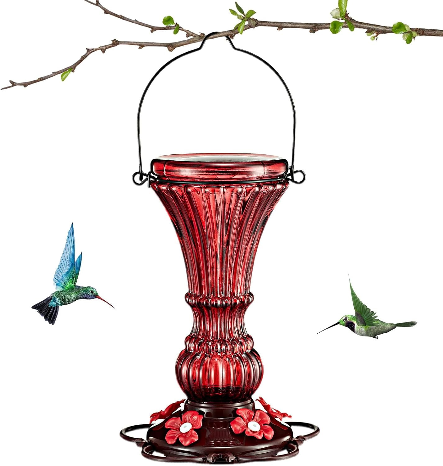 Beserie Glass Hummingbird Feeders for Outdoors Hanging Red Humming Bird ...