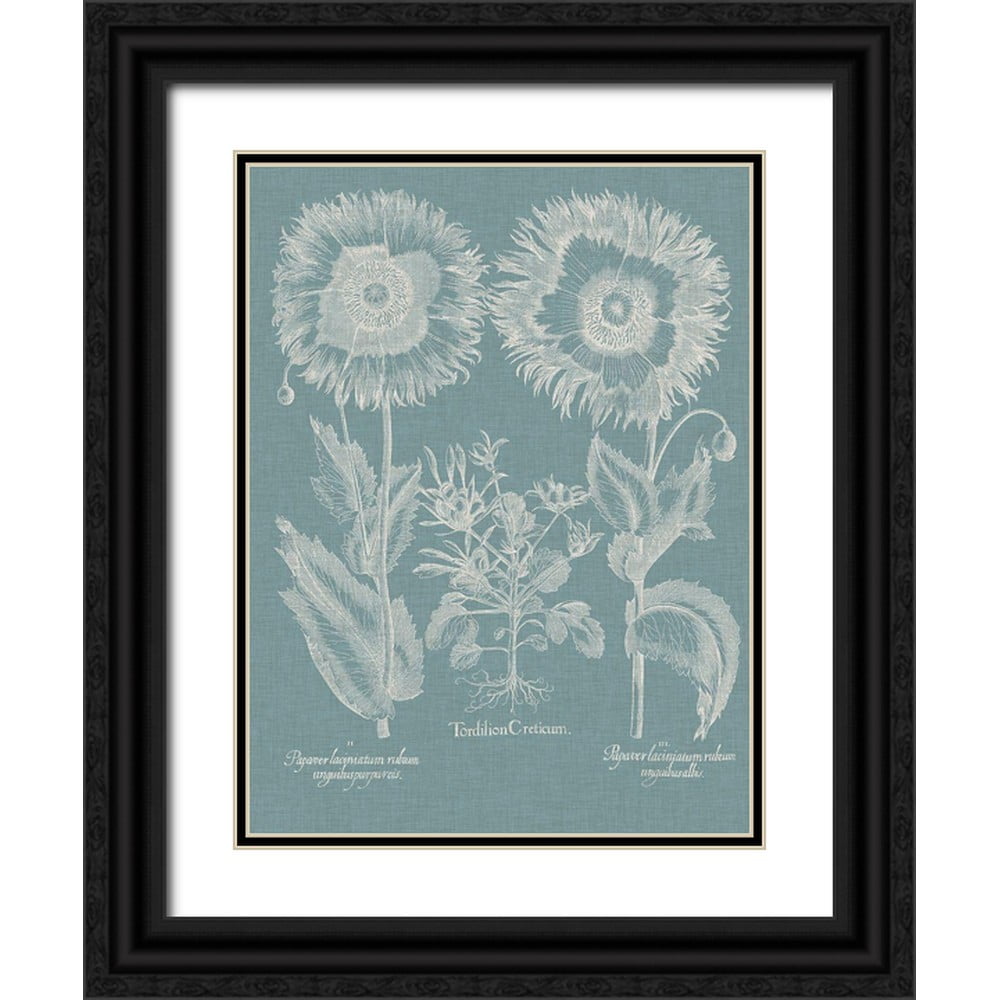 Besler, Basilius 12x14 Black Ornate Wood Framed with Double Matting ...