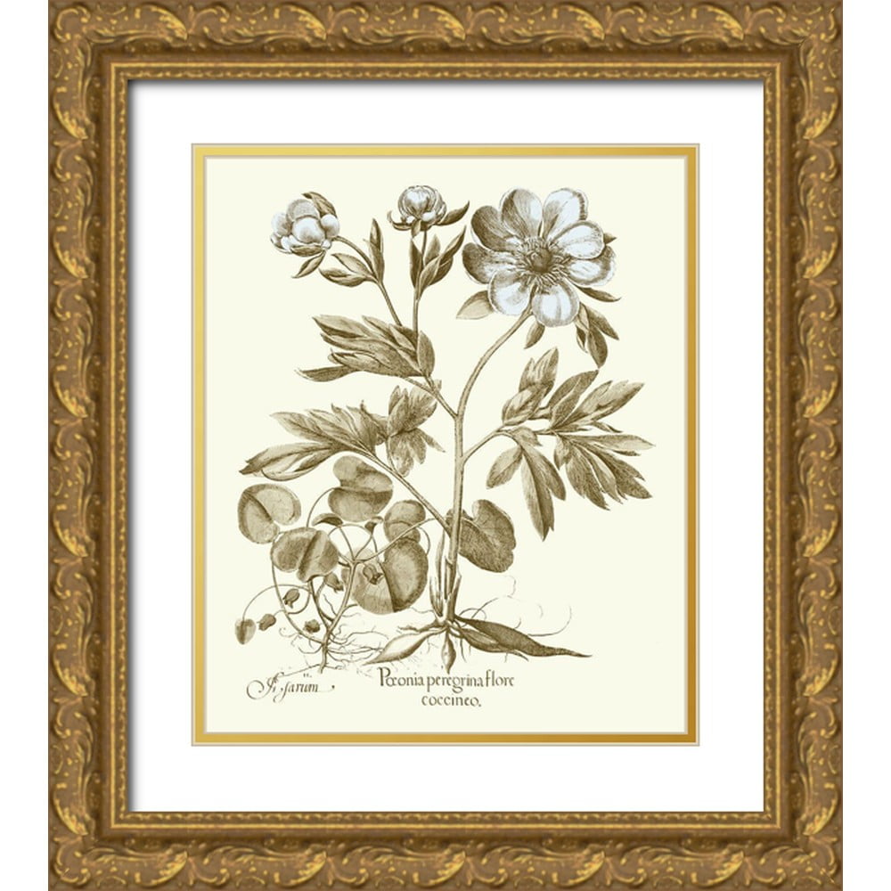 Besler, Basilius 20x23 Gold Ornate Wood Framed with Double Matting ...