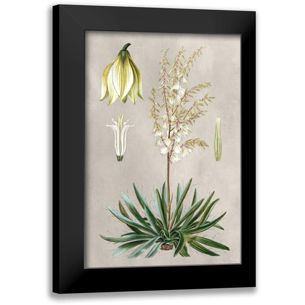 Bessa, Pancrace 11x14 Black Modern Framed Museum Art Print Titled ...