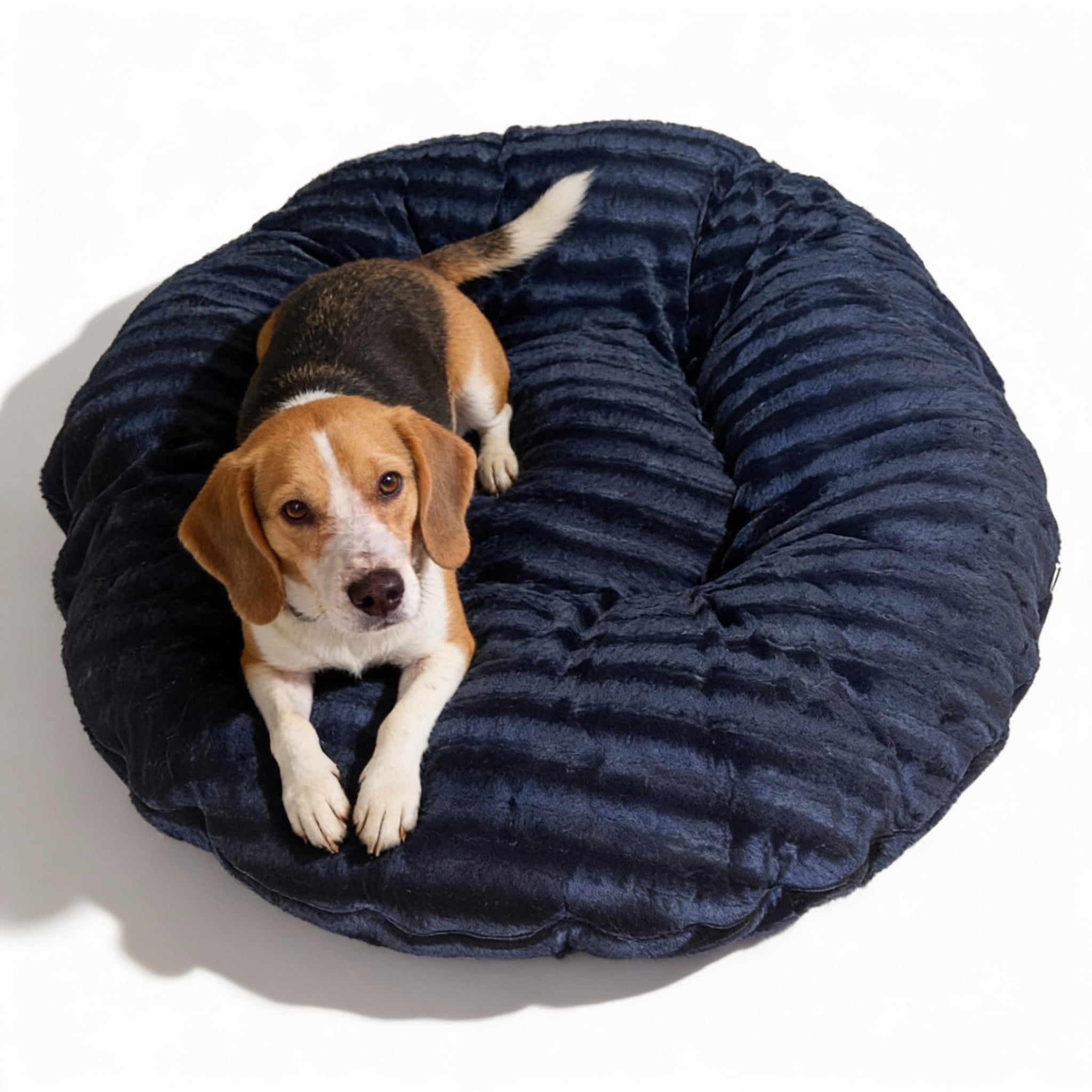 Bessie and Barnie Signature Black Puma Shag Extra Plush Faux Fur Bagel ...