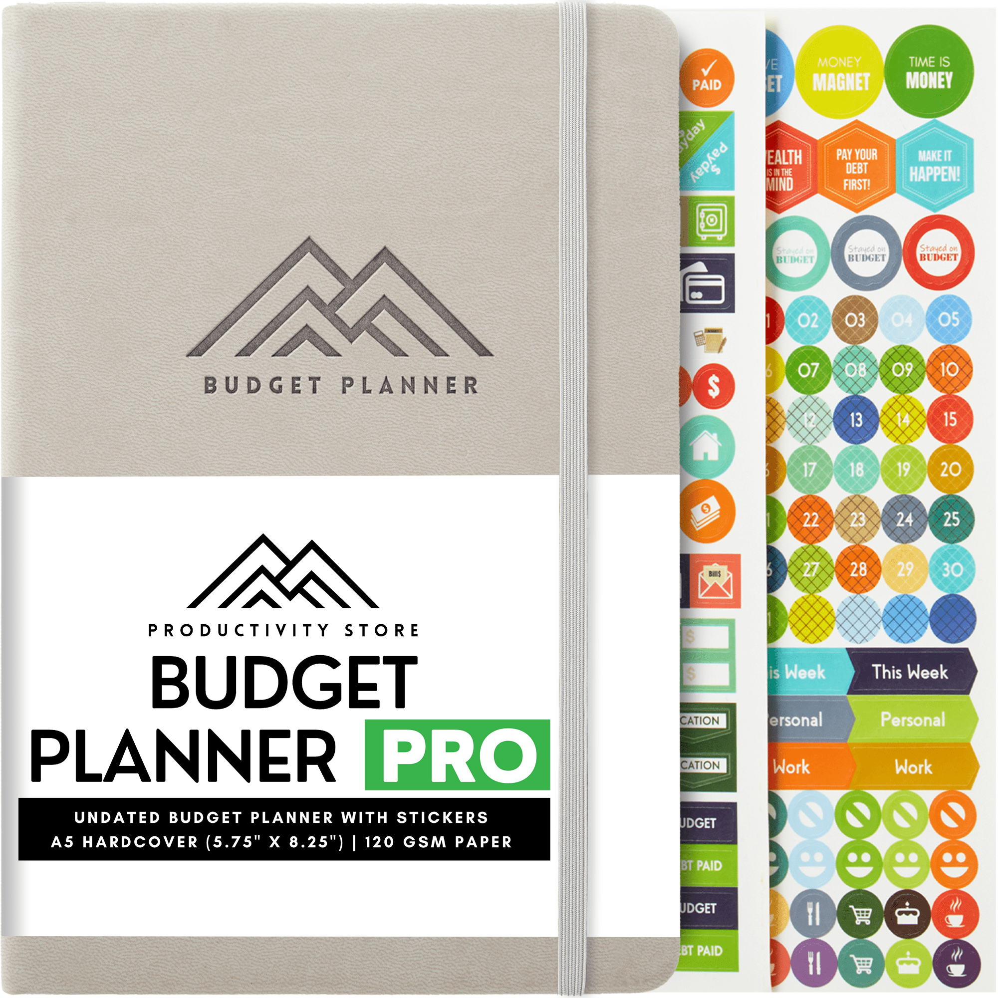 Productivity Store 2024 Budget Planner | Finance Tracker, Bill ...